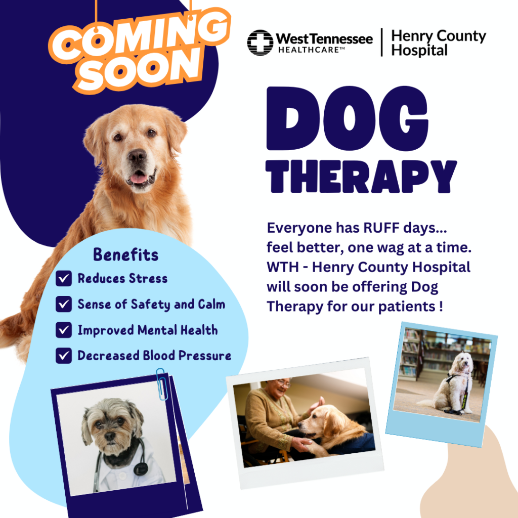 Paws and Positivity: Dog Therapy Program Coming Soon! | West Tennessee ...
